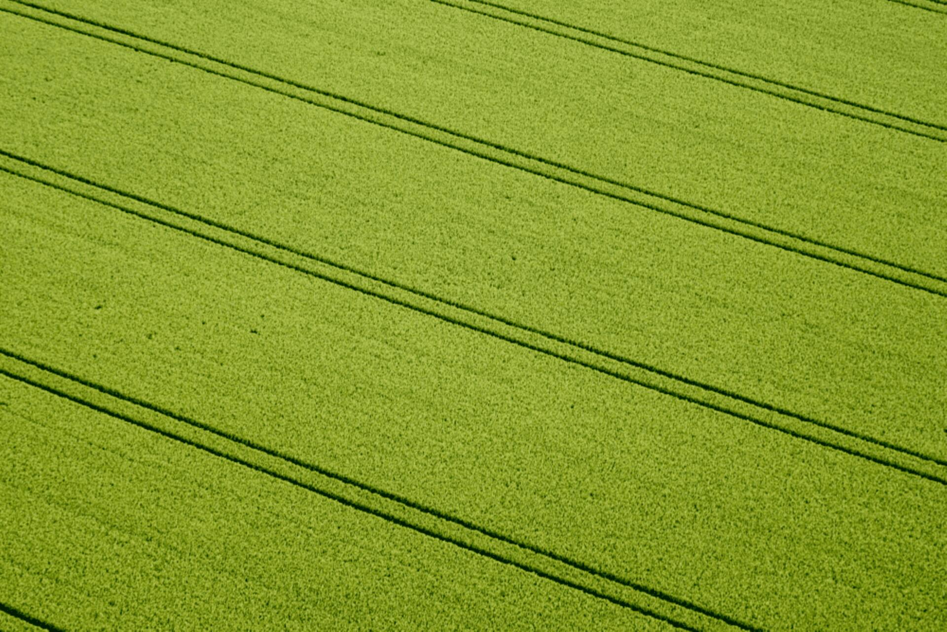Biofuel Feedstock Trade Flows S P Global